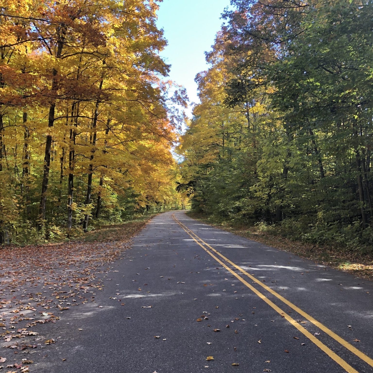4 Seasons of Omena | Omena Village Preservation Association